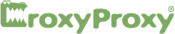 Was ist Croxy Proxy? Ist es sicher? (mit professionellen Alternativen ...